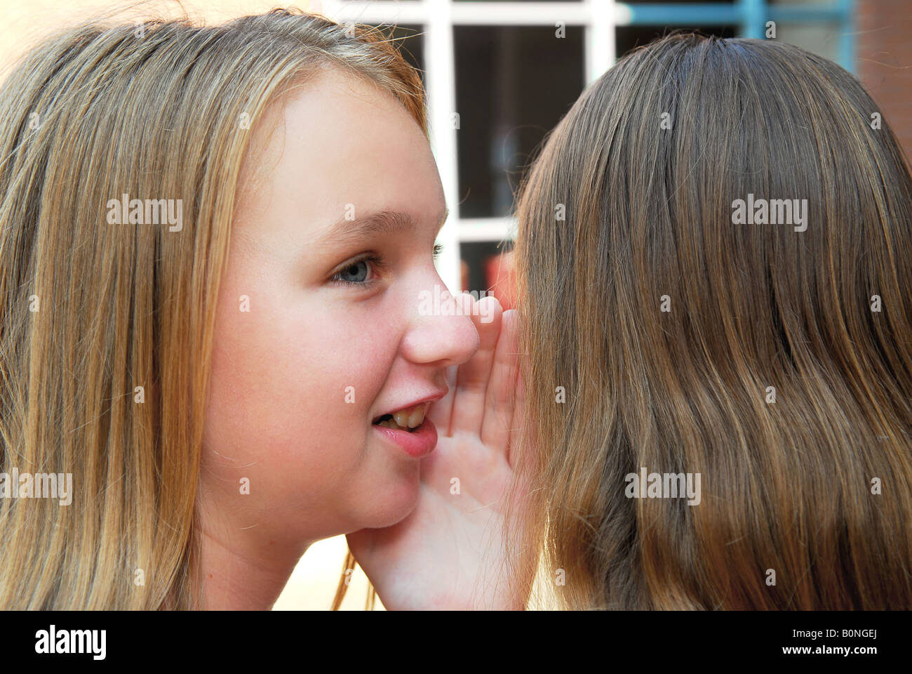 Two young teenage girls gossiping in school yard Stock Photo - Alamy