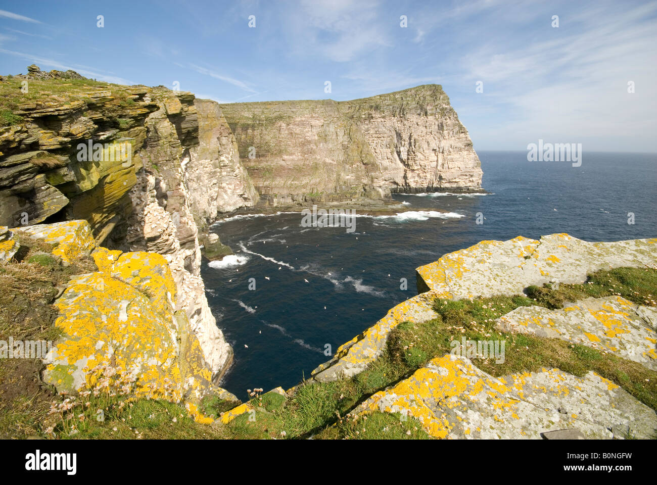 The Noup on the Isle of Noss, Shetland Islands, Scotland, UK Stock ...