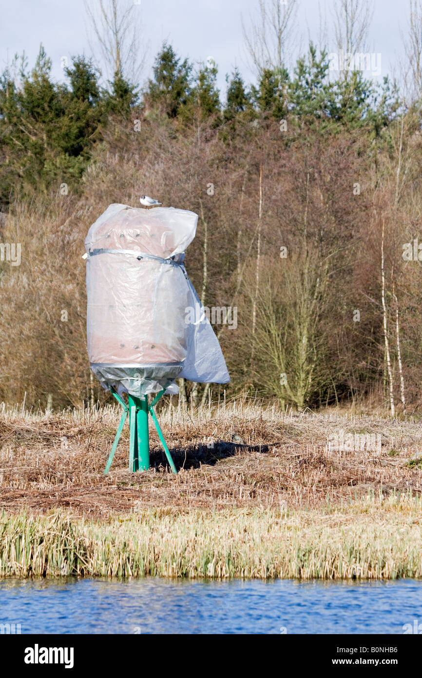 Artificial sand martin nest on nature reserve in Fife Scotland Stock ...