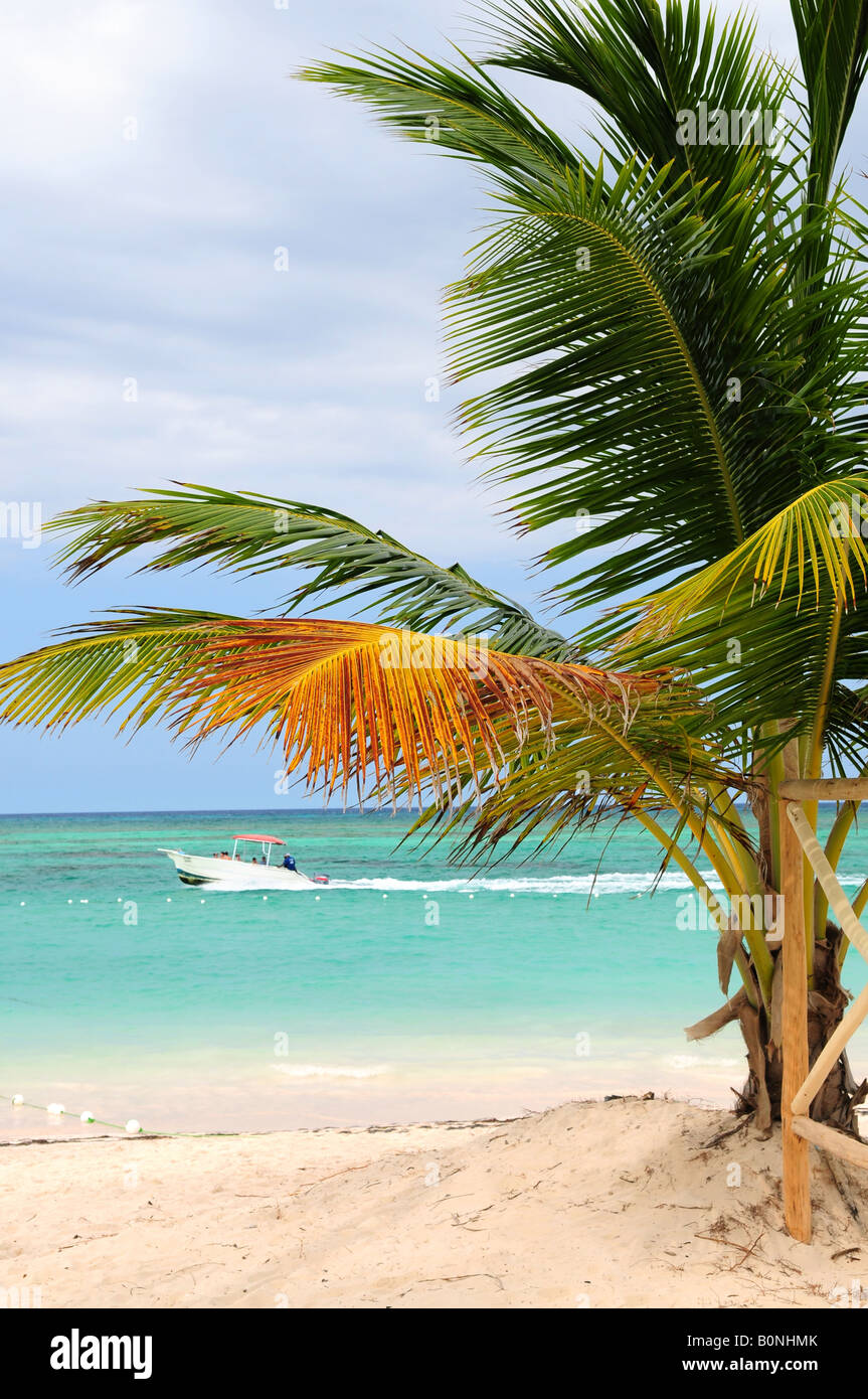 Tropical beach with palm tree and small boat Stock Photo - Alamy
