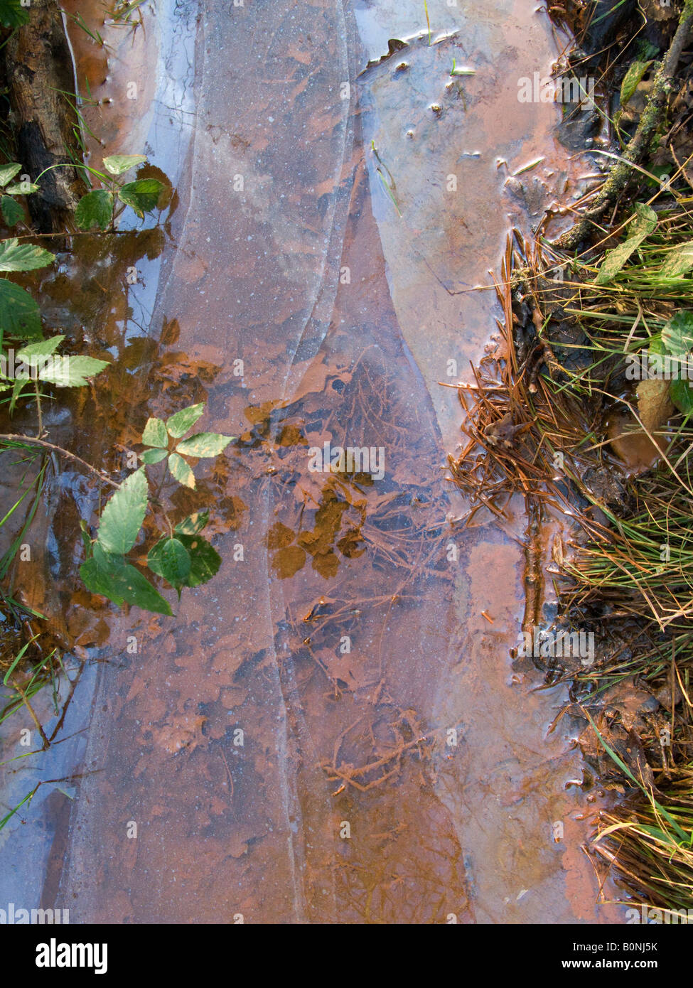 Water pool / pond / slow flowing contaminated stream polluted with ...