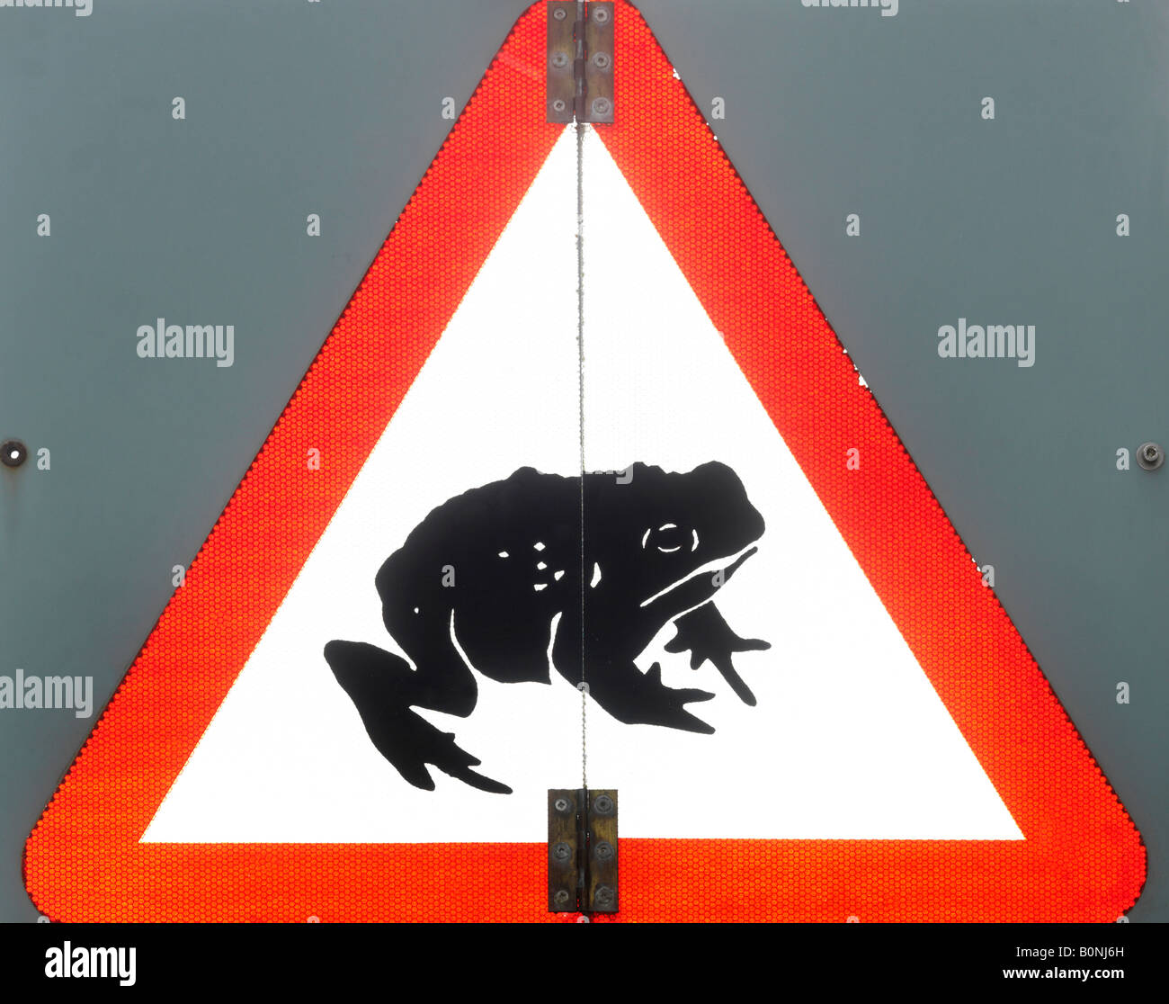 Frog road sign hi-res stock photography and images - Alamy