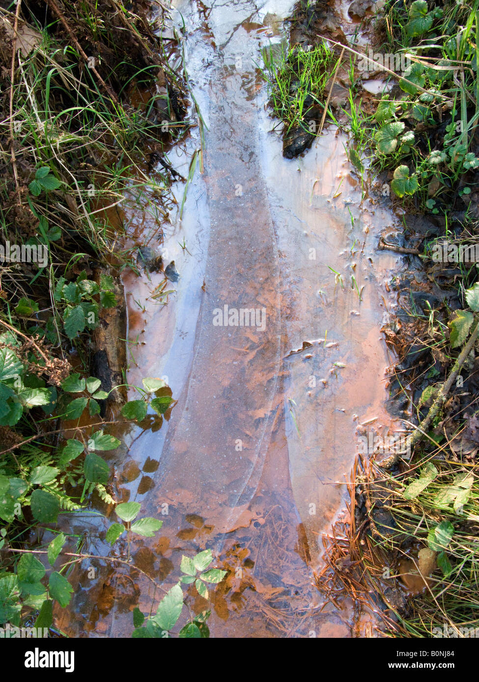 River pollution uk fertilizer hi-res stock photography and images - Alamy