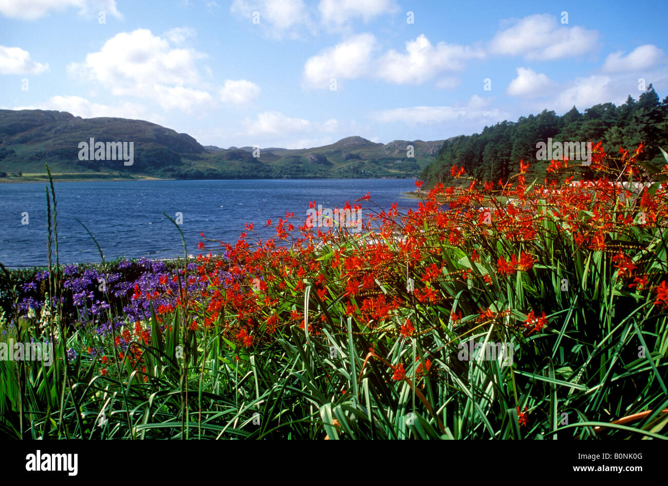 Inverewe gardens hi-res stock photography and images - Alamy