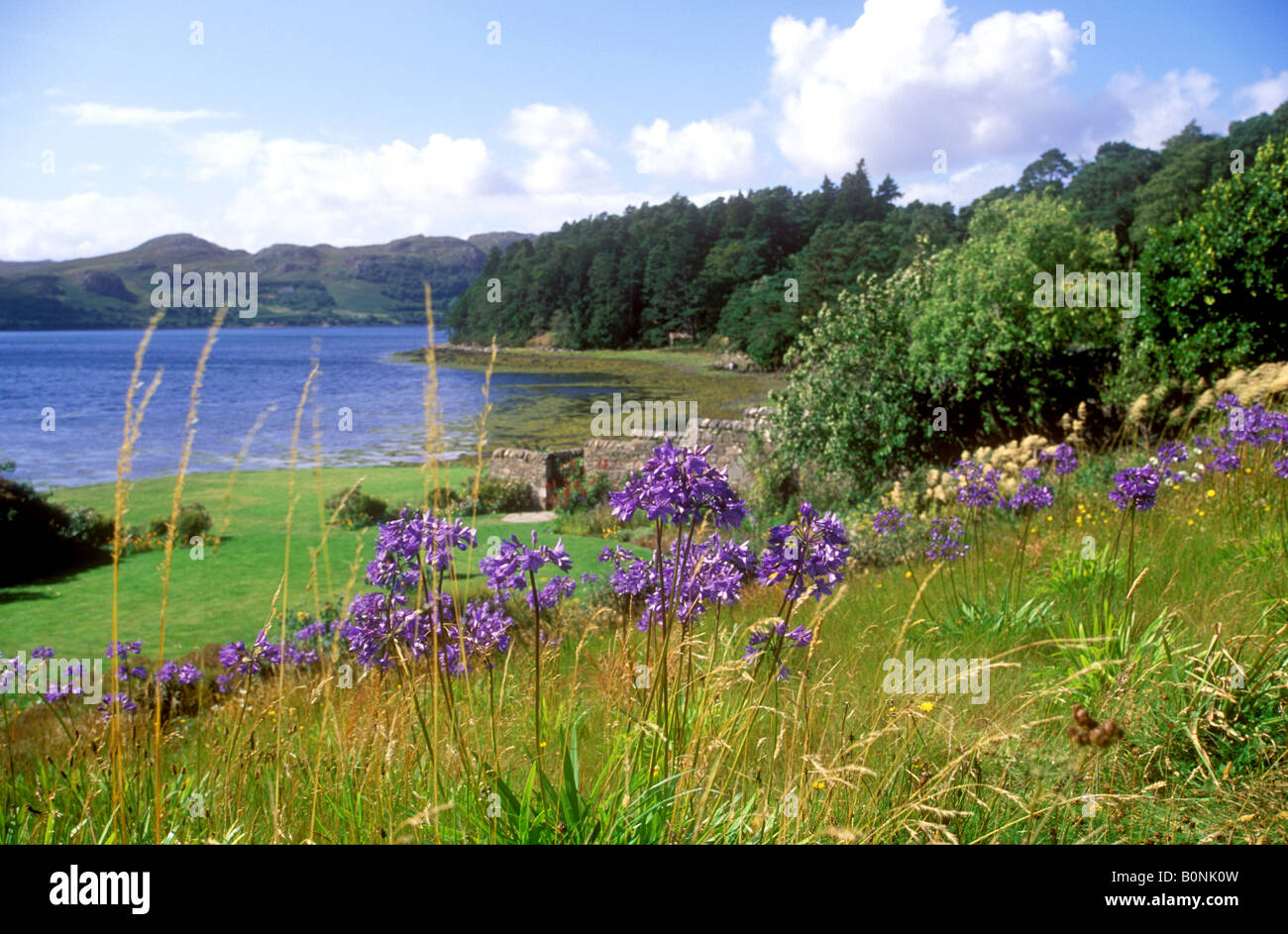 Inverewe Sub Tropical Gardens owned by National Trust for Scotland on ...