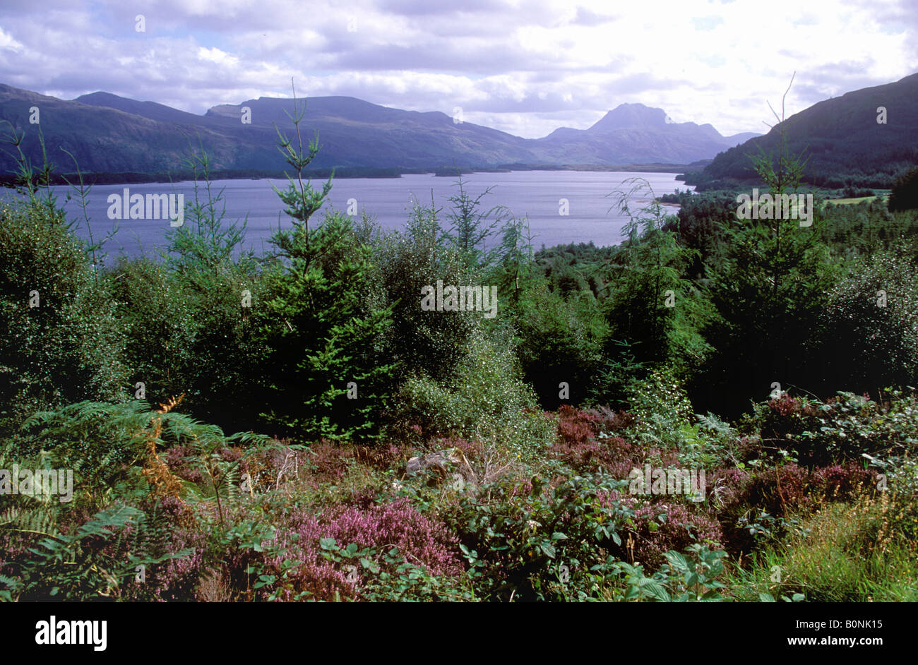 Loch Maree - One of Scotlands most scenic lochs in Wester Ross Stock ...