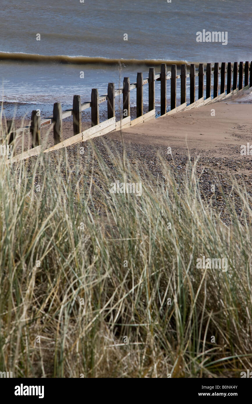 Sand dunes and sea defences at Dawlish Warren South Devon Stock Photo ...