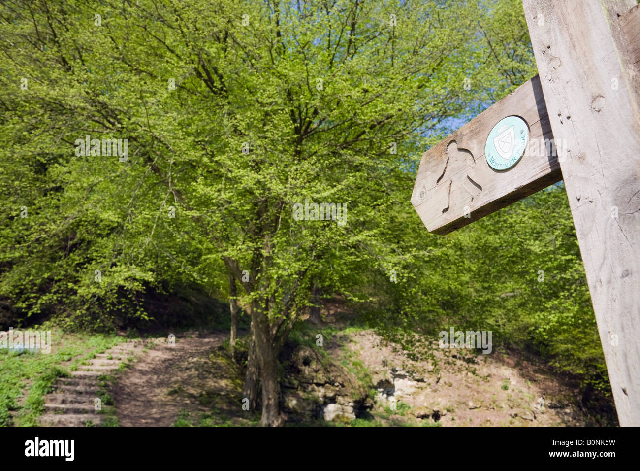 Mortimer common hi-res stock photography and images - Alamy