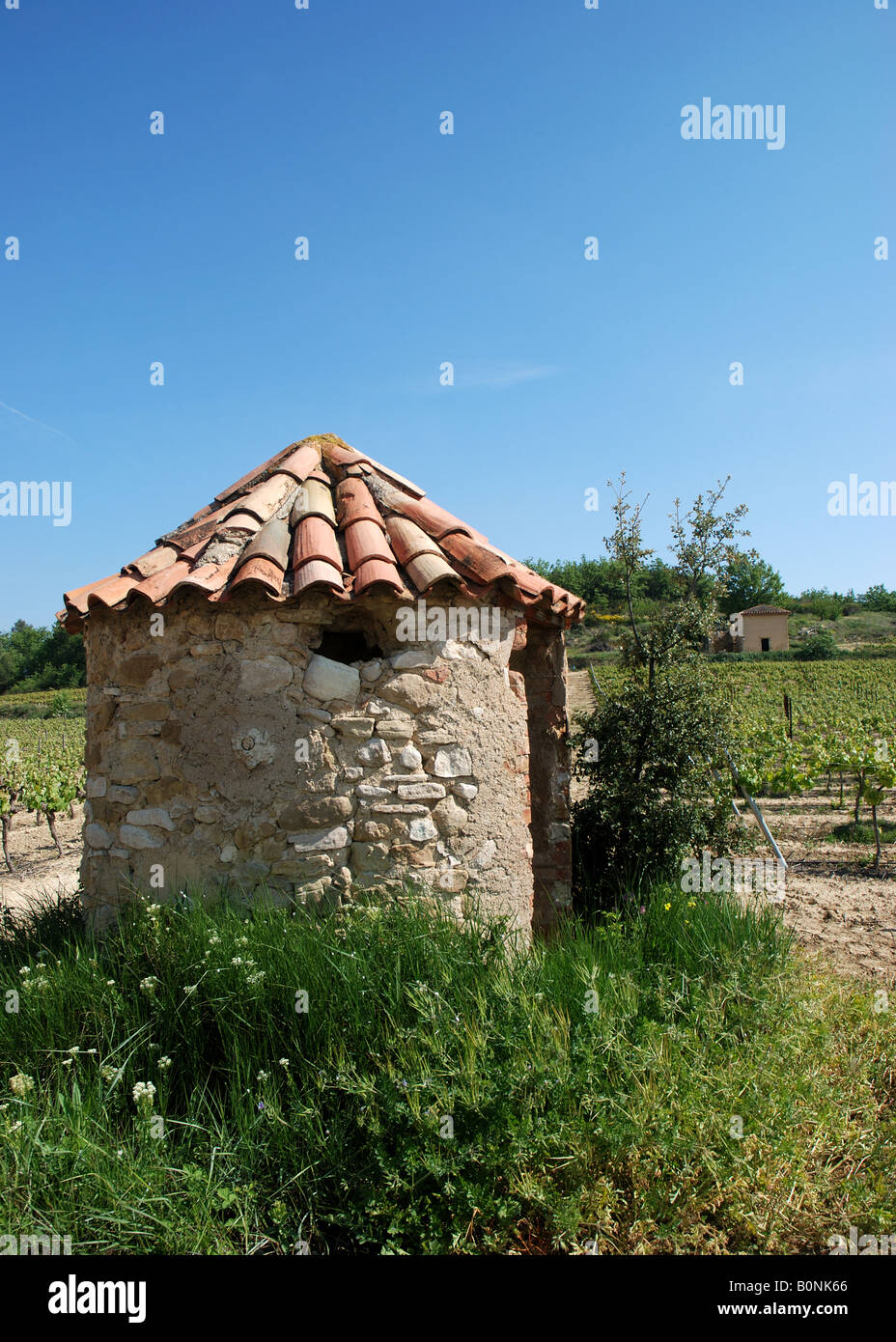 Round well built hi-res stock photography and images - Alamy