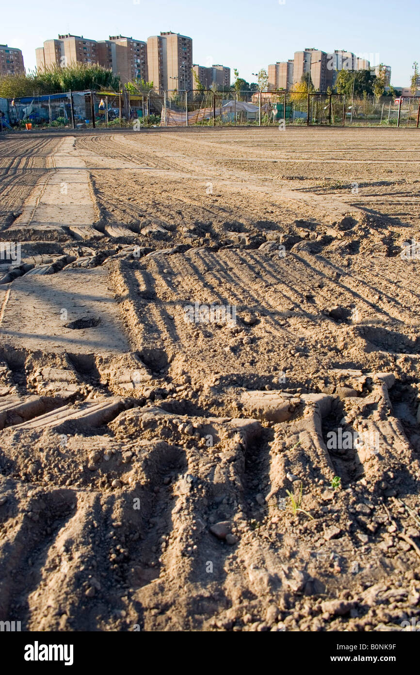 Field mark hi-res stock photography and images - Alamy