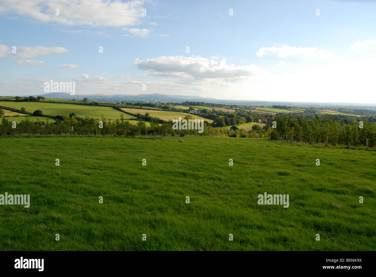 Typical devon landscape hi-res stock photography and images - Alamy