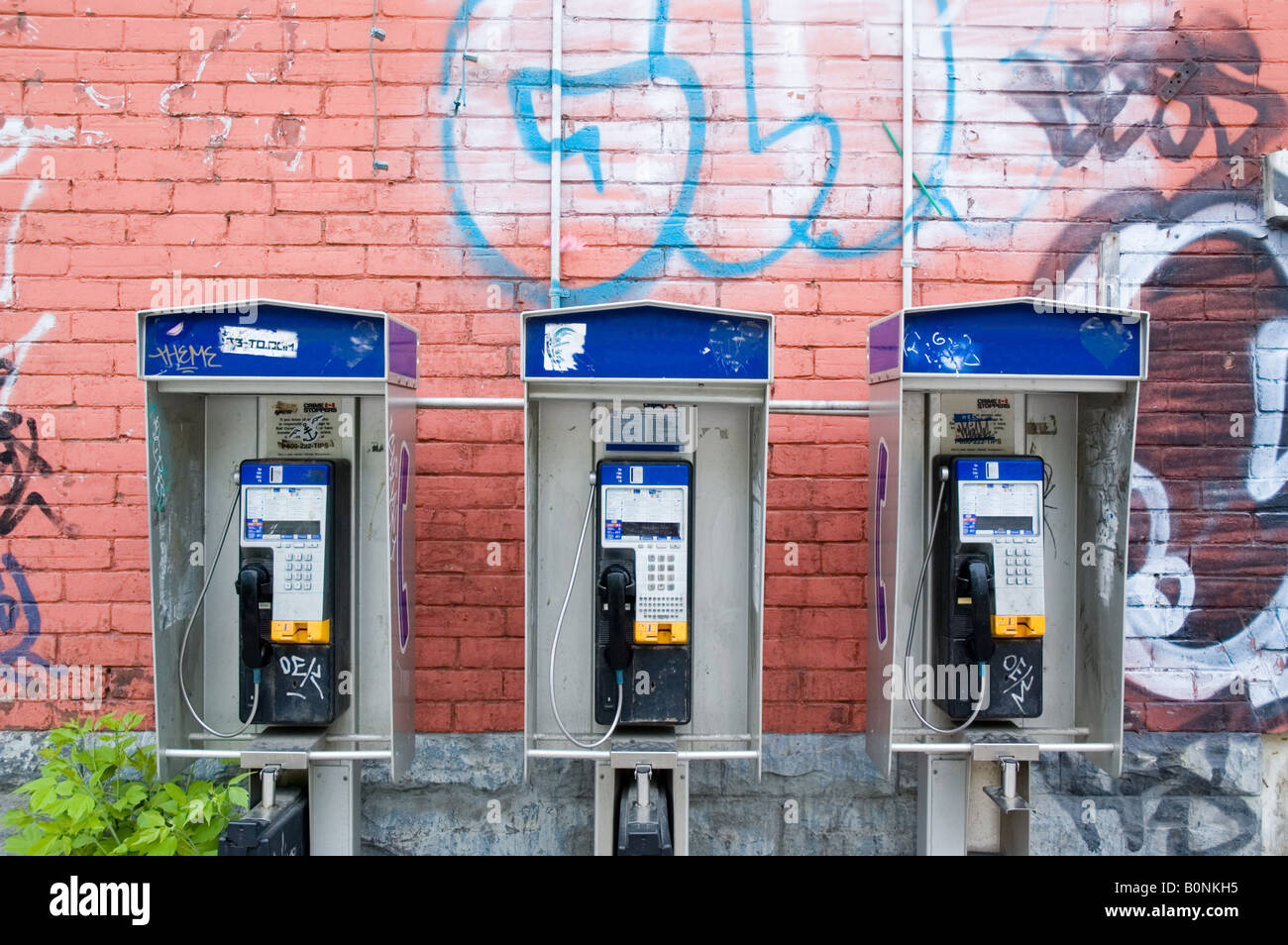 Public telephones covered in graffiti Stock Photo - Alamy