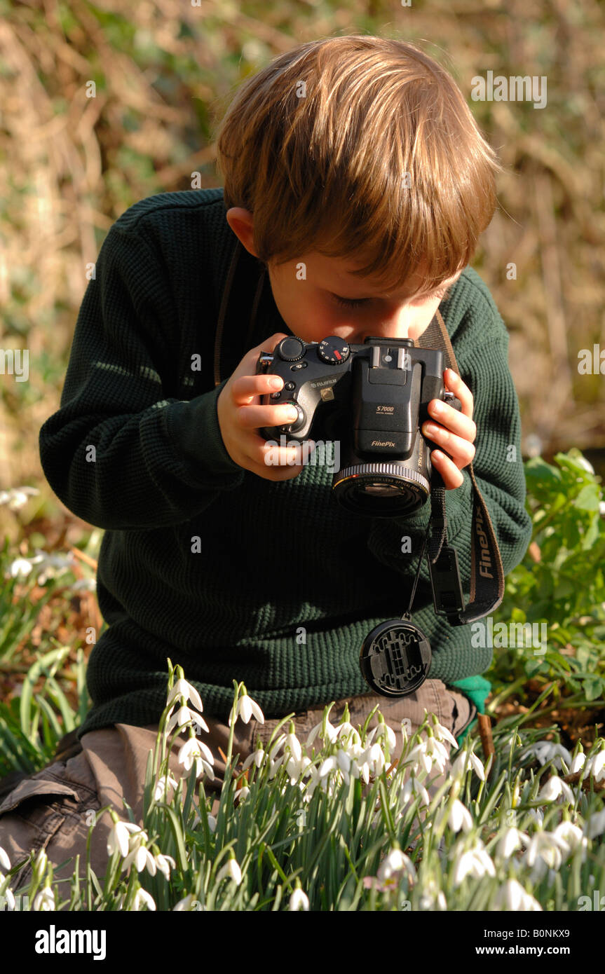 Young boy photographing snowdrops with a digital camera in woodland ...