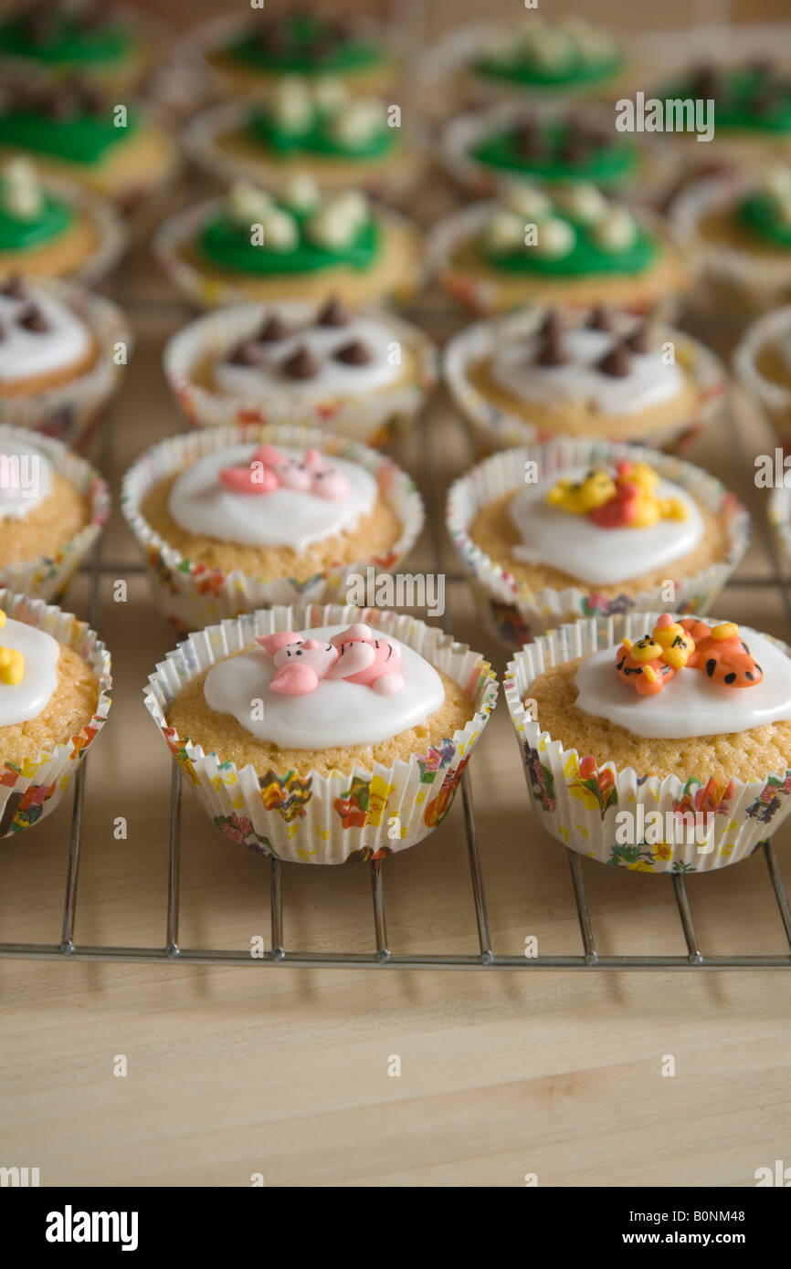 Colourful iced cupcakes on a wire rack on a kitchen worktop Stock Photo ...