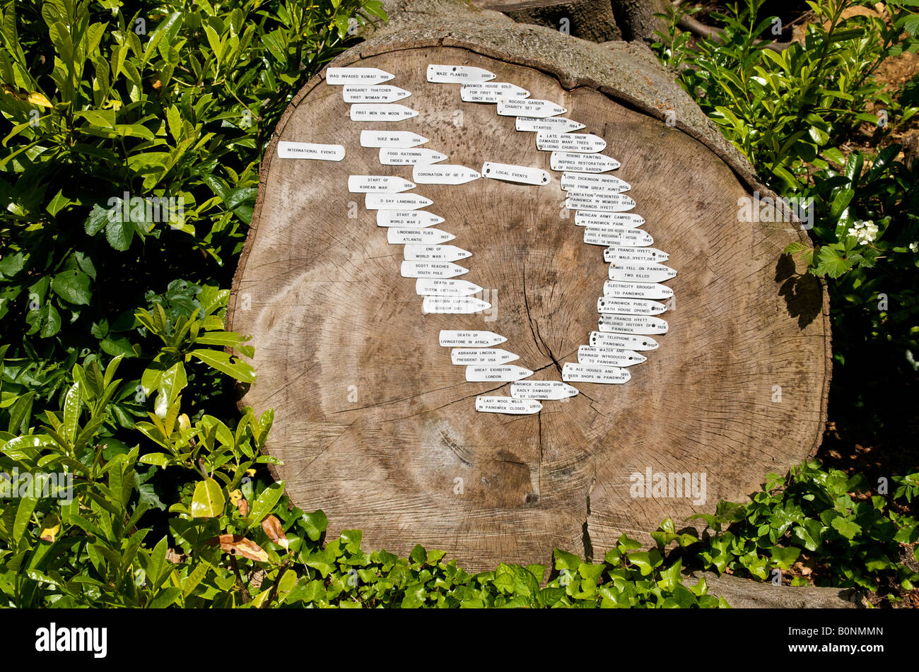 Tree Rings Show History