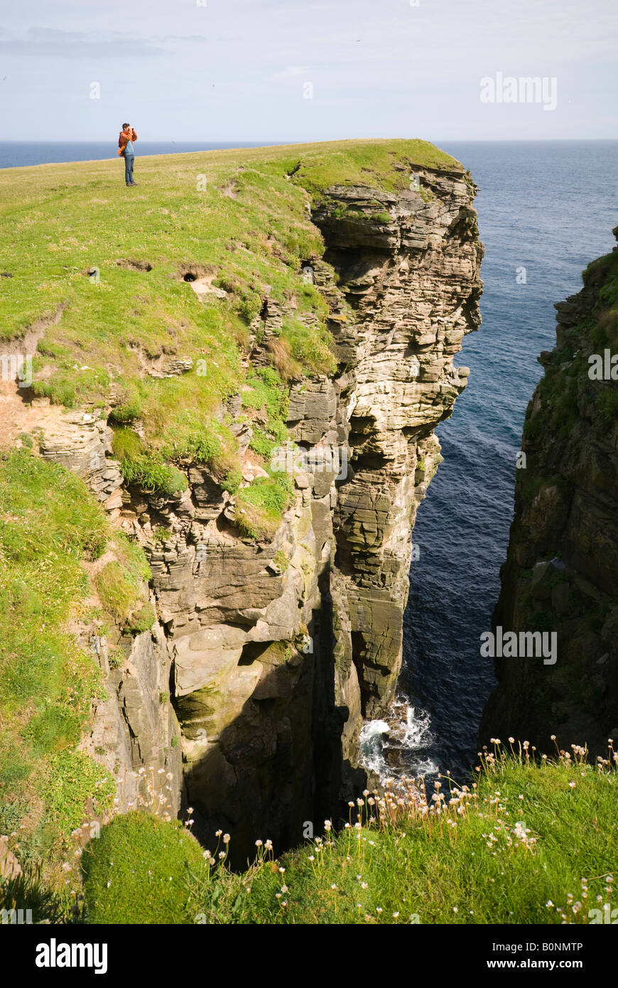 A Geo in sea cliffs near the Noup, on the Isle of Noss, Shetland ...