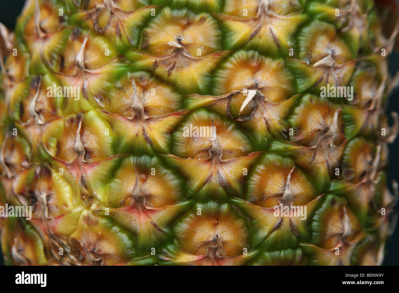 Hard skin fruit hi-res stock photography and images - Alamy