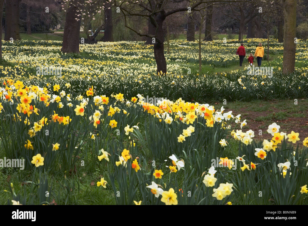 Christchurch hagley park spring hi-res stock photography and images - Alamy