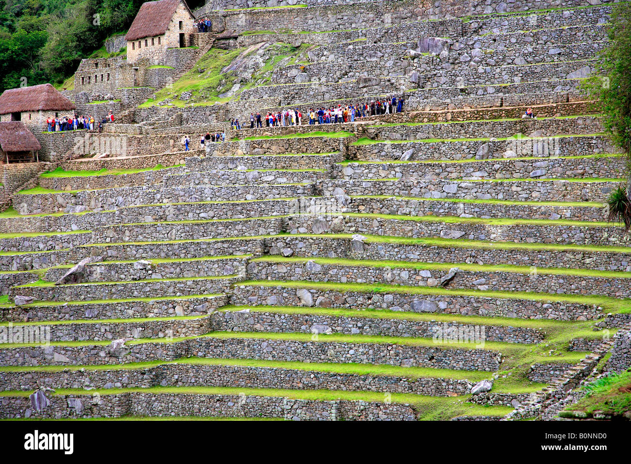 Machu picchu terraces hi-res stock photography and images - Alamy