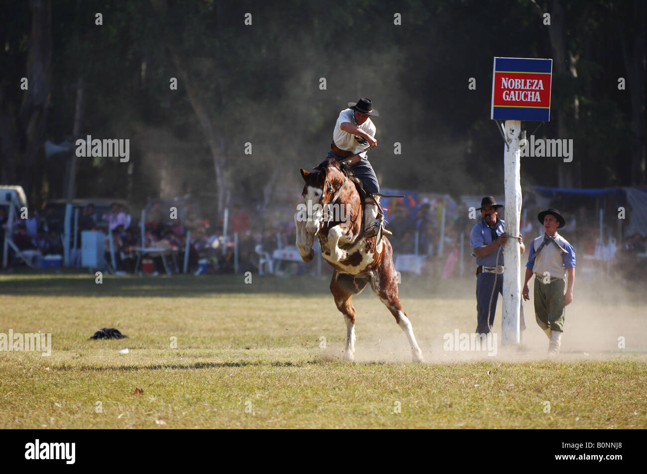 rodeo rider and horse Stock Photo - Alamy