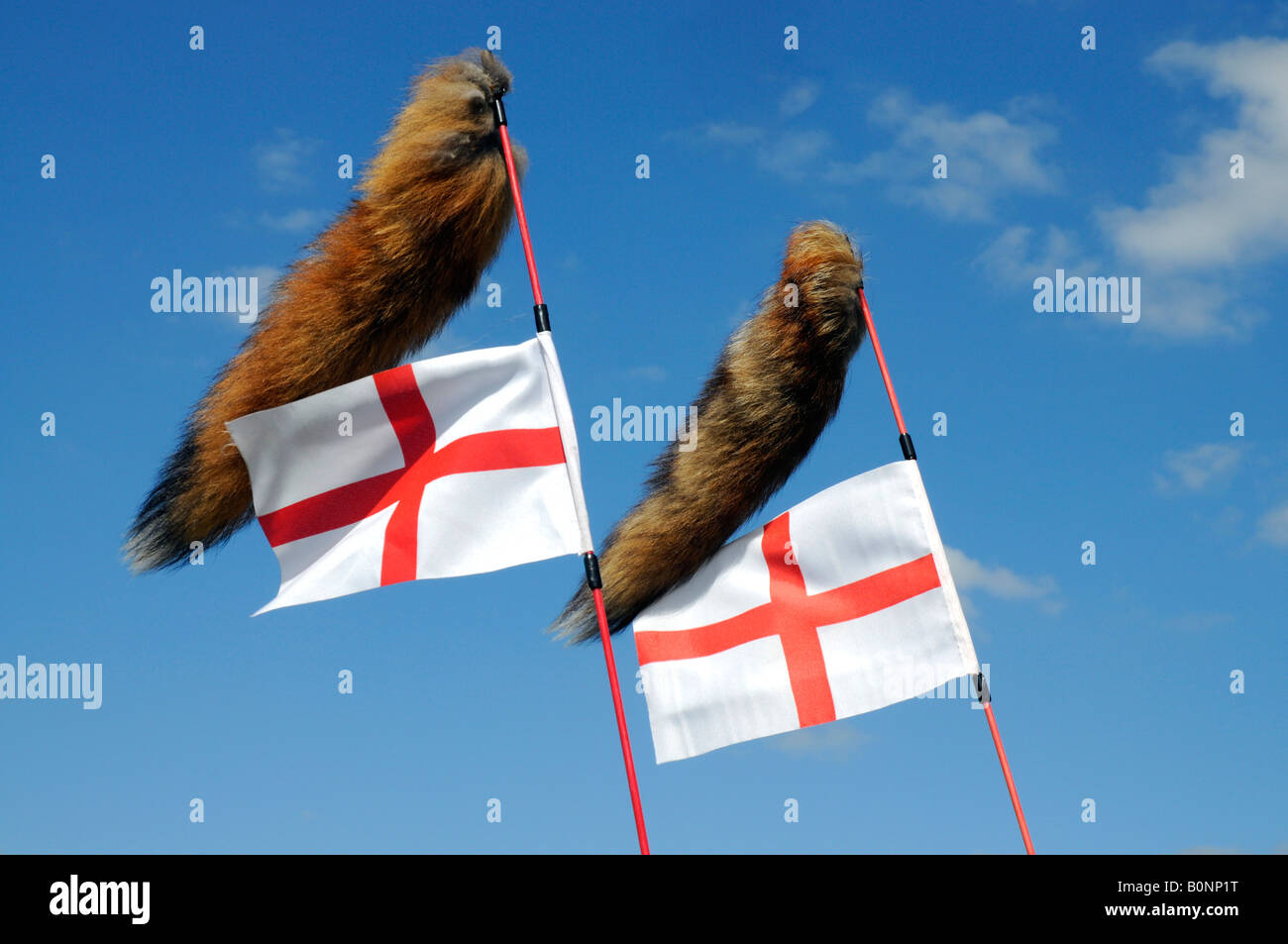 Tiger tails and St George flags accessories on mod scooter Stock Photo ...