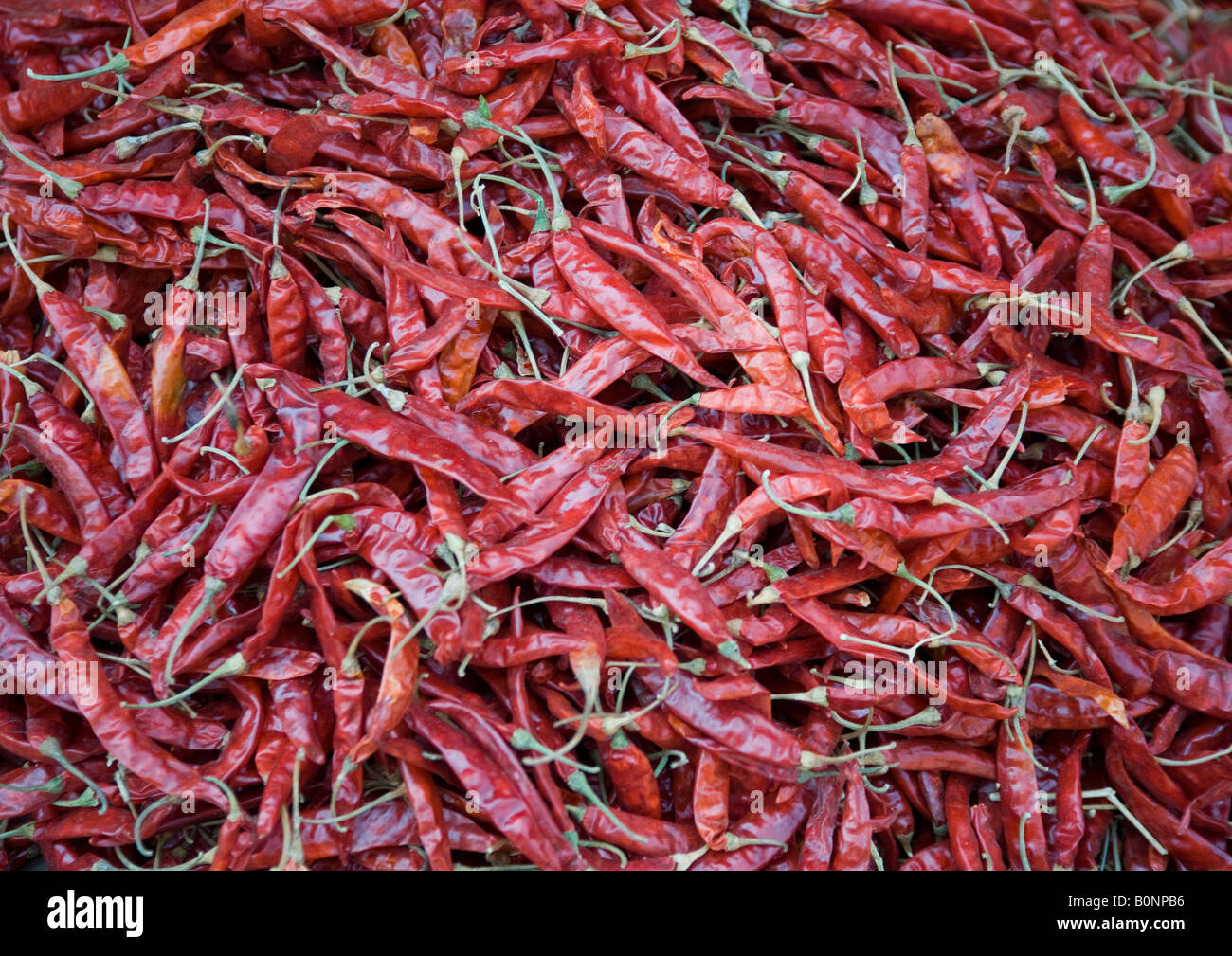 Open chillies hi-res stock photography and images - Alamy