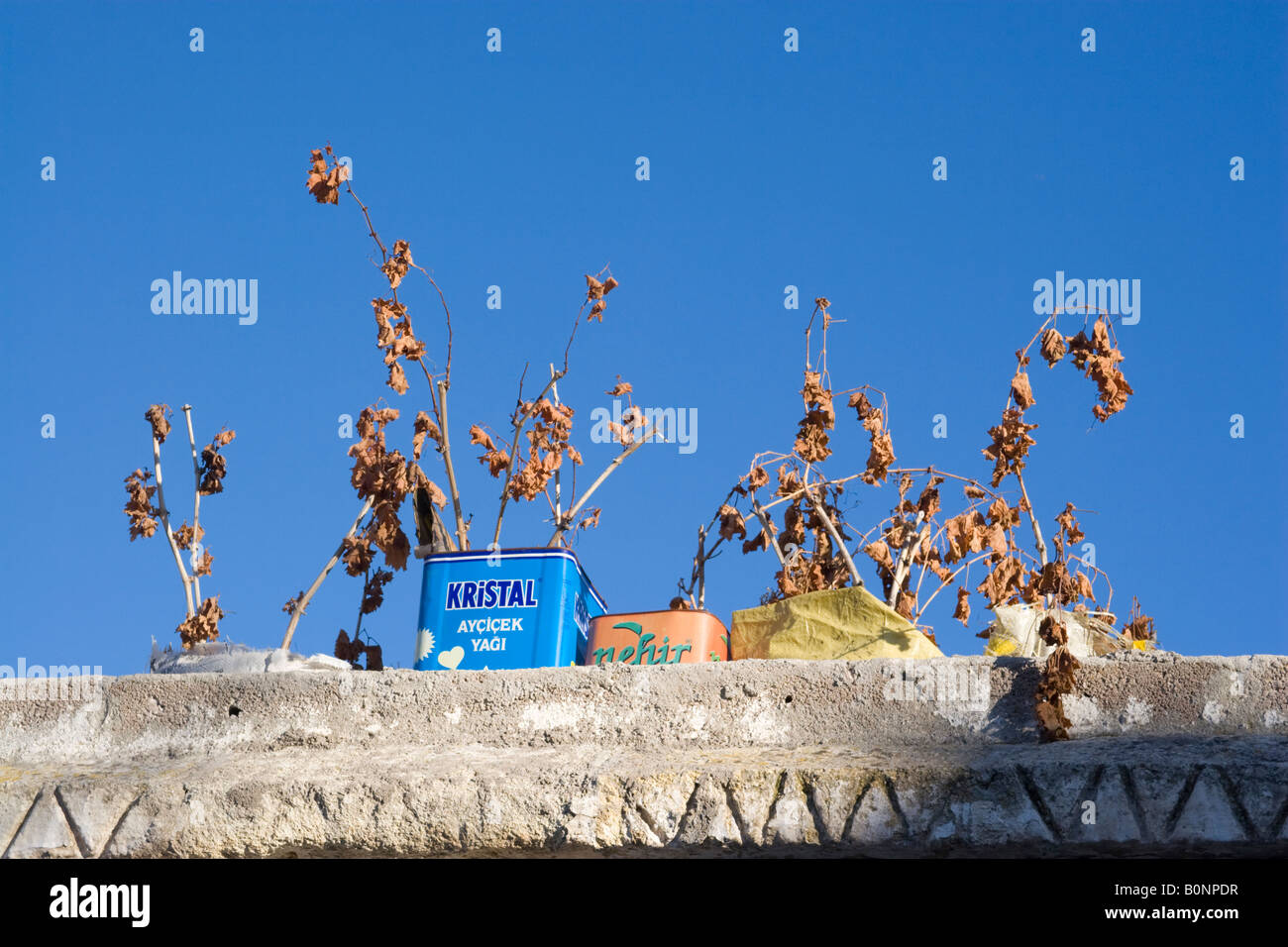 Dead plants hi-res stock photography and images - Alamy