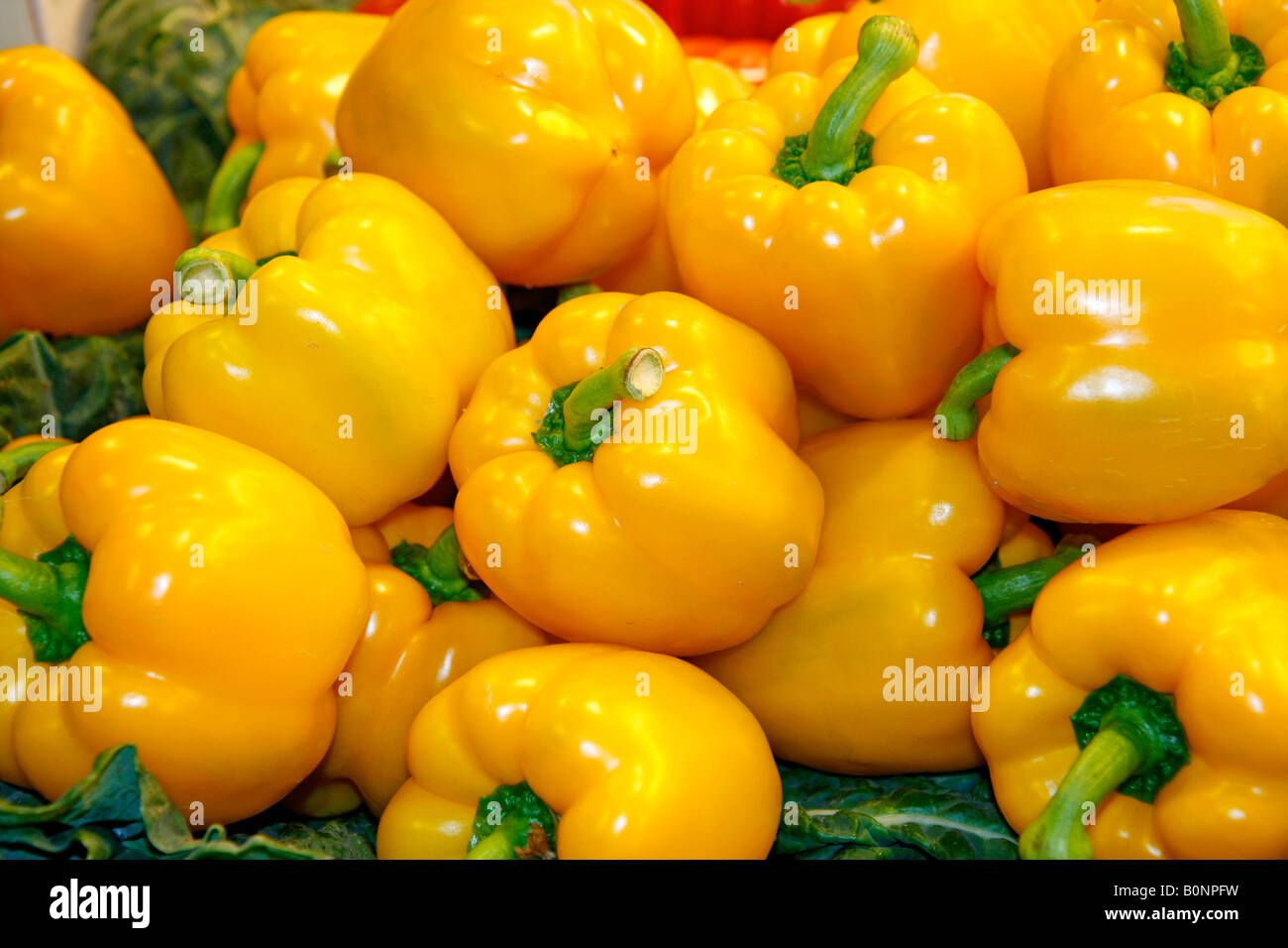 Yellow peppers La Boqueria Market Barcelona Spain Stock Photo - Alamy