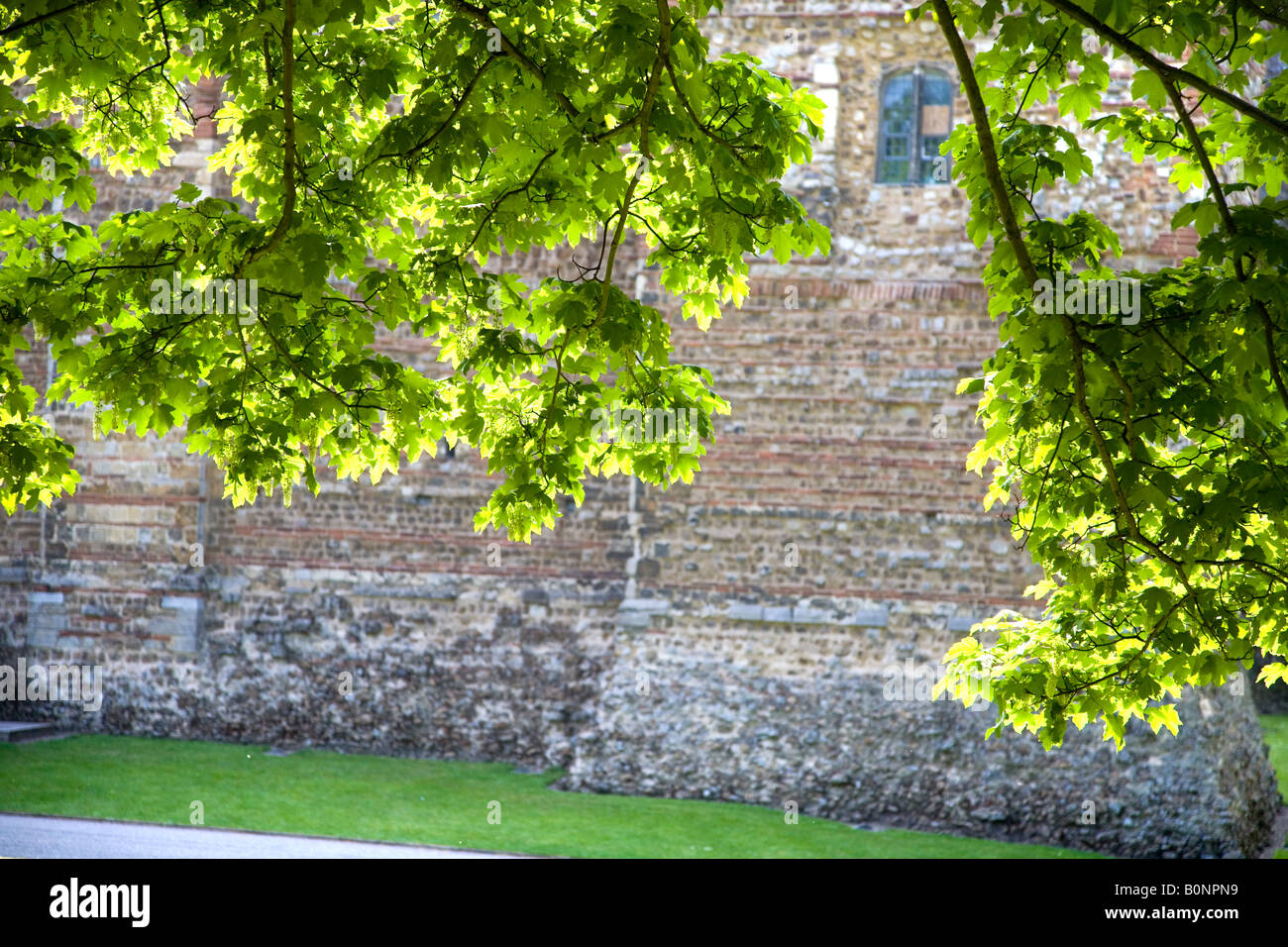 Castle part colchester essex hi-res stock photography and images - Alamy