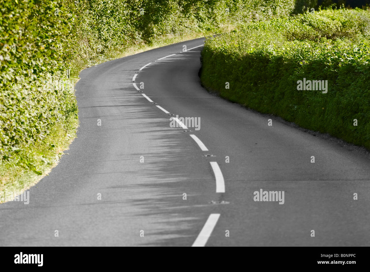 Bend in a road between green hedges Stock Photo - Alamy