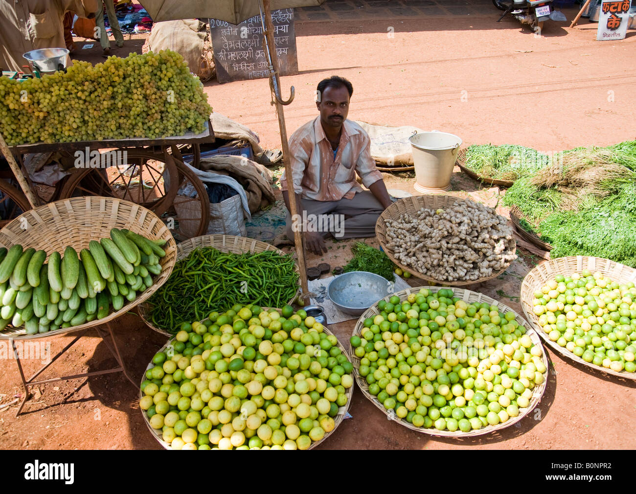 Open roadside market at Lancha village on Goa highway selling ...