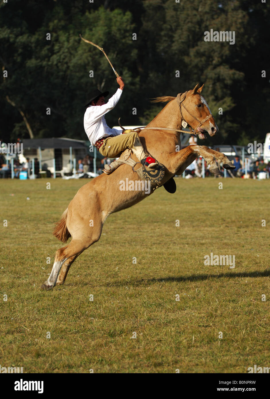 rodeo rider and horse Stock Photo - Alamy