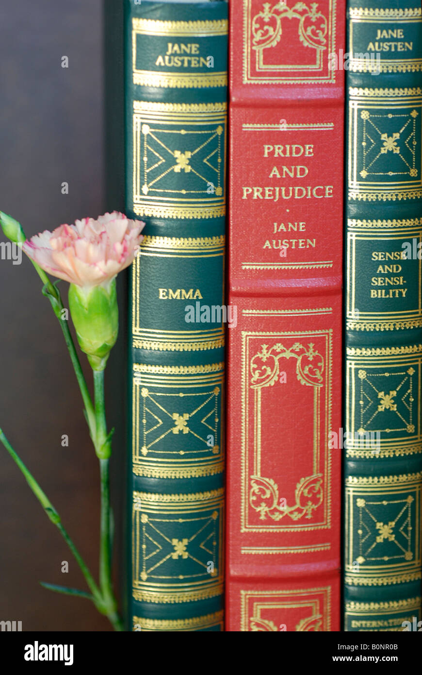 Book Spines, Jane Austen Stock Photo - Alamy