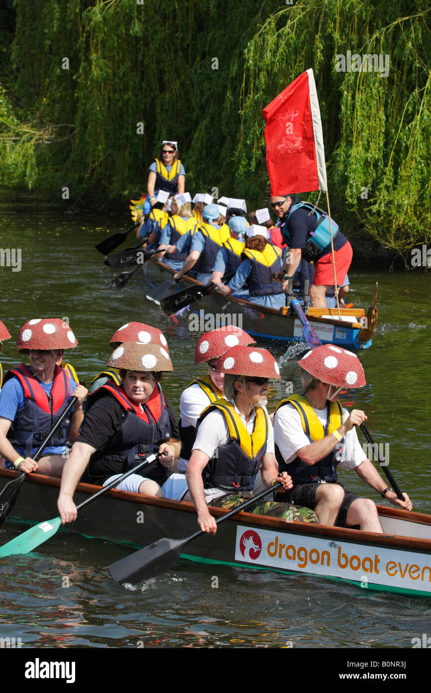 Dragon boat racing on the Thames at Abingdon 13 Stock Photo - Alamy