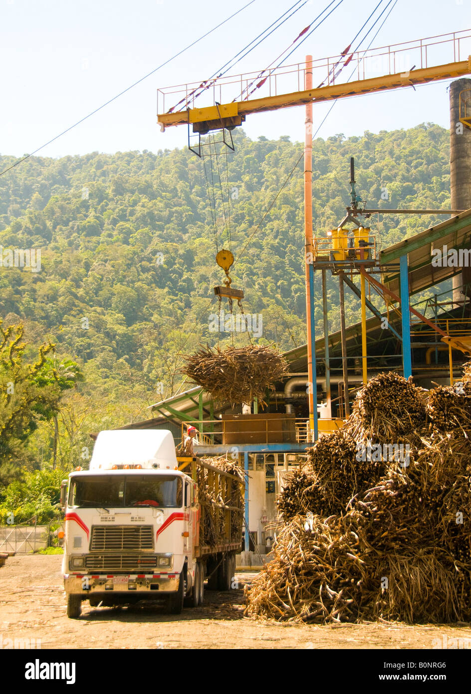 COSTA RICA Agriculture Sugar Cane harvesting and production refinerary ...