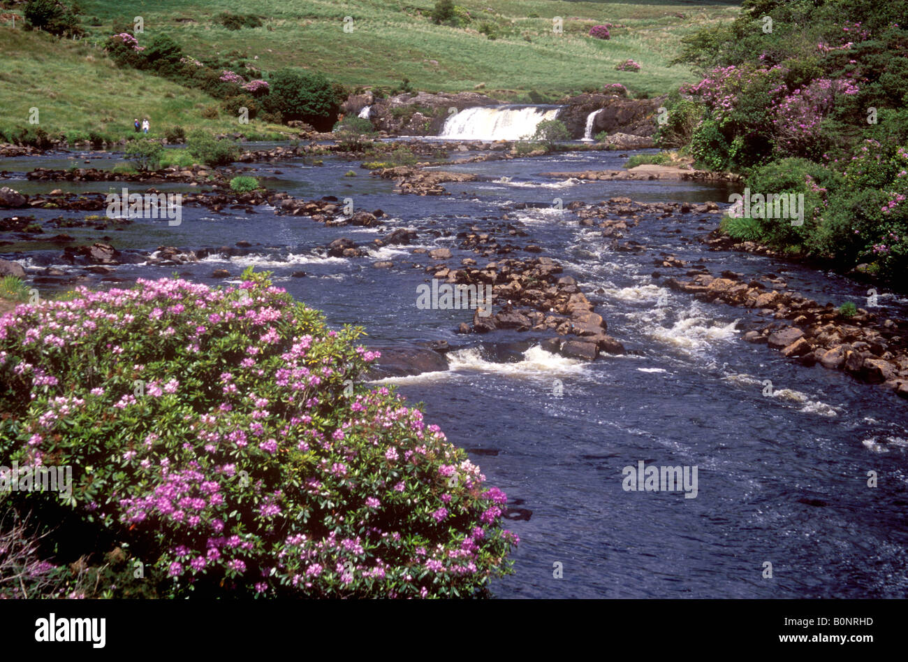 View of Aasleagh Falls on the Erriff River Stock Photo - Alamy