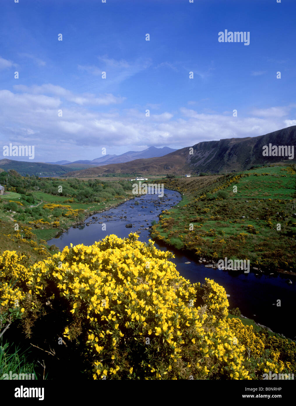 River Caragh and Carrantuohill the highest mountain in Ireland Stock ...