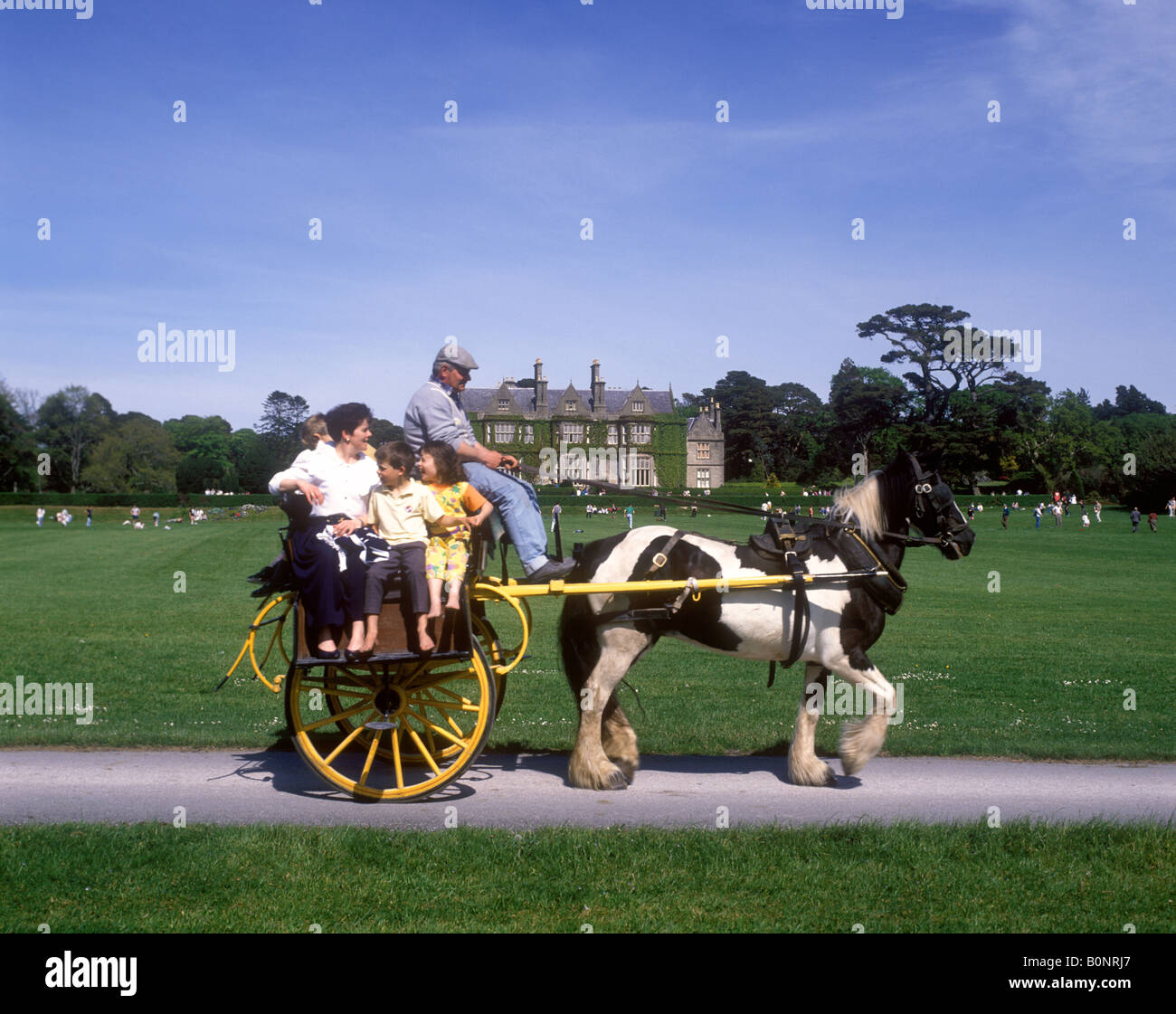 Irish jaunting cart hi-res stock photography and images - Alamy