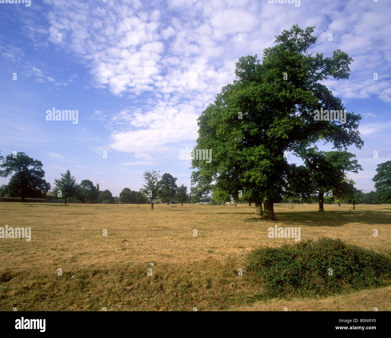Minchinhampton common stroud gloucestershire hi-res stock photography ...