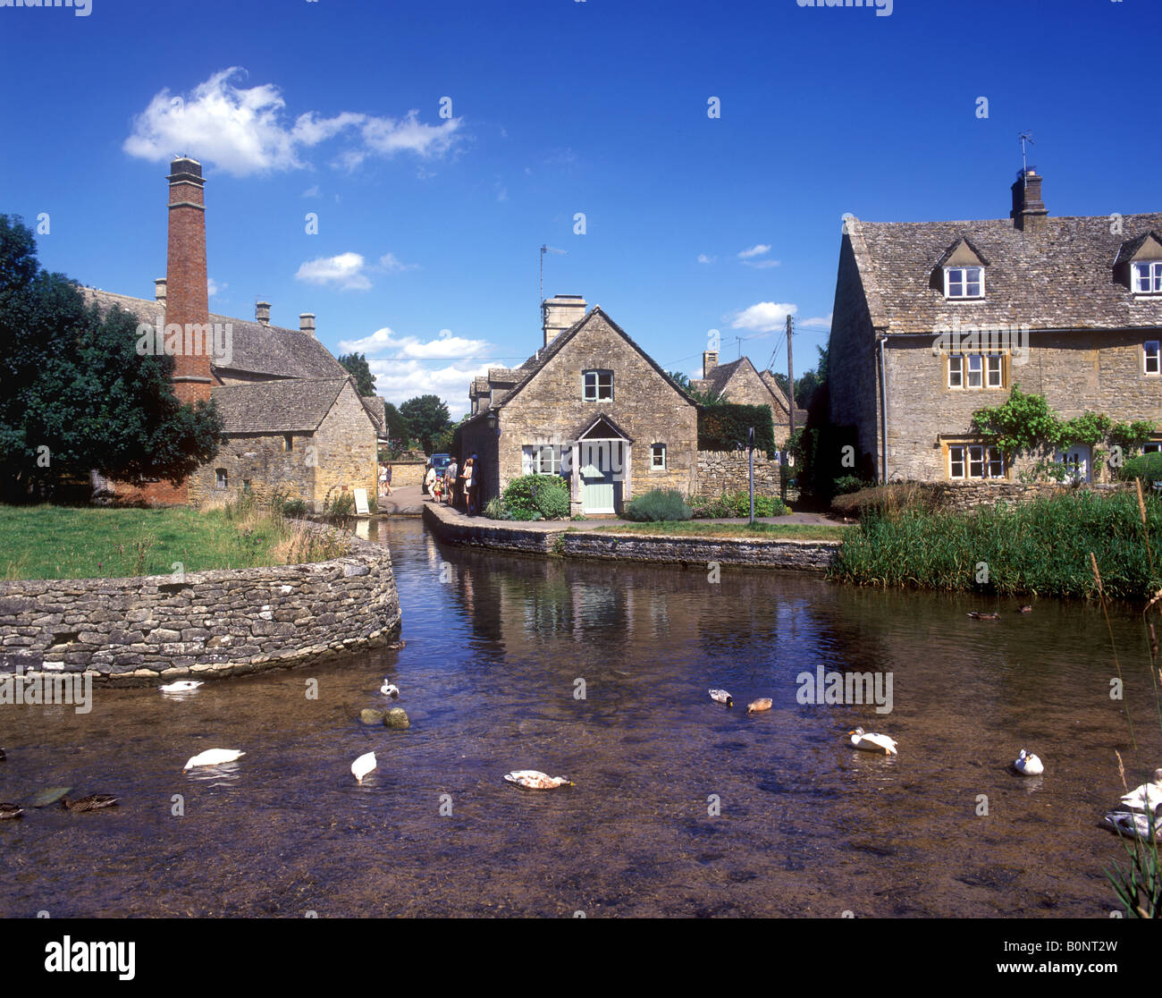 Slaughter of ducks hi-res stock photography and images - Alamy