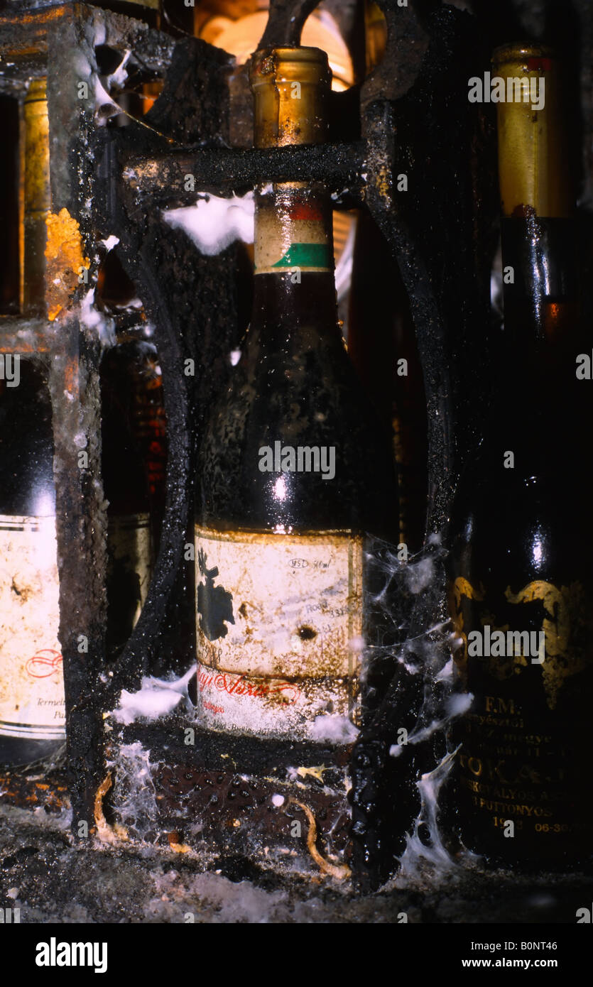 Tokaji wine in old mould hi-res stock photography and images - Alamy