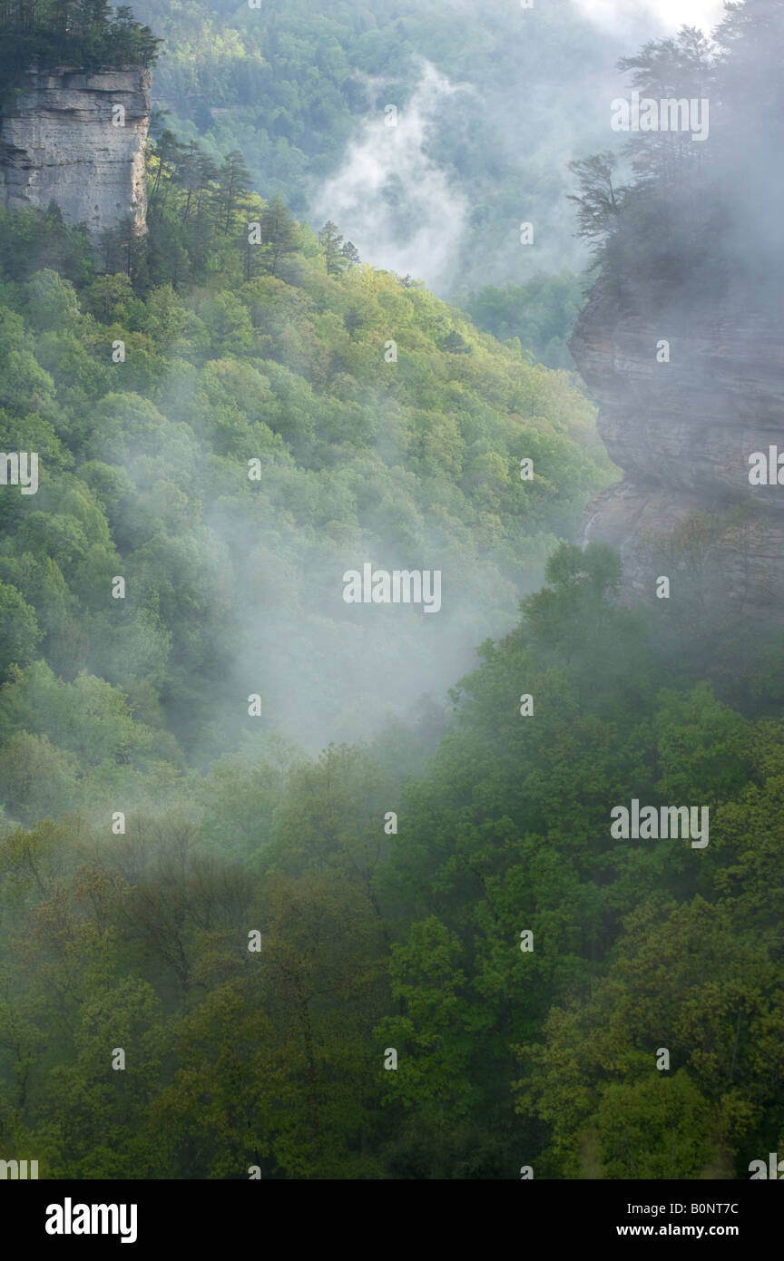 Tall Cliff faces and bluffs with mist coming up the valley after a rain ...
