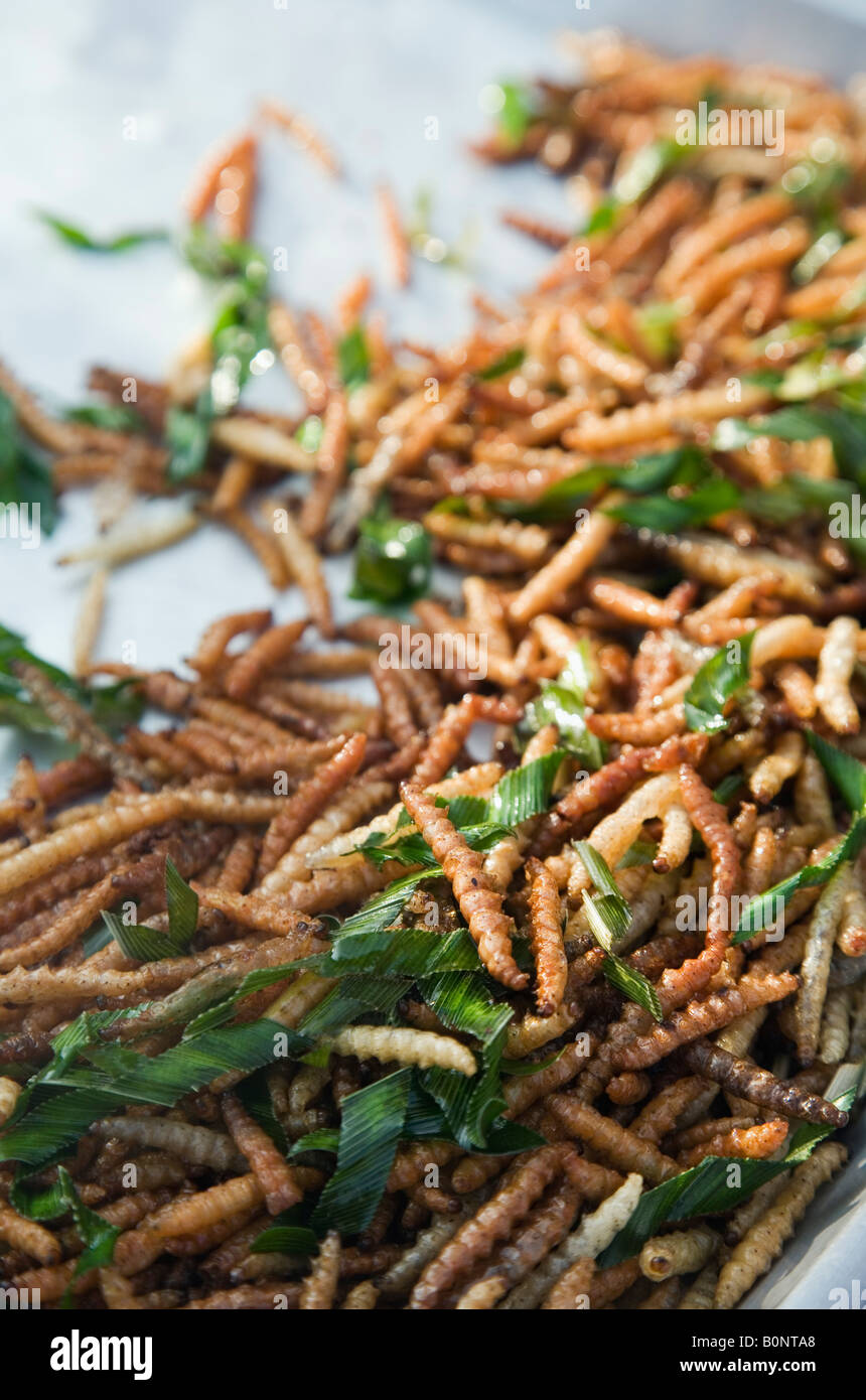 Insect food thailand hi-res stock photography and images - Alamy