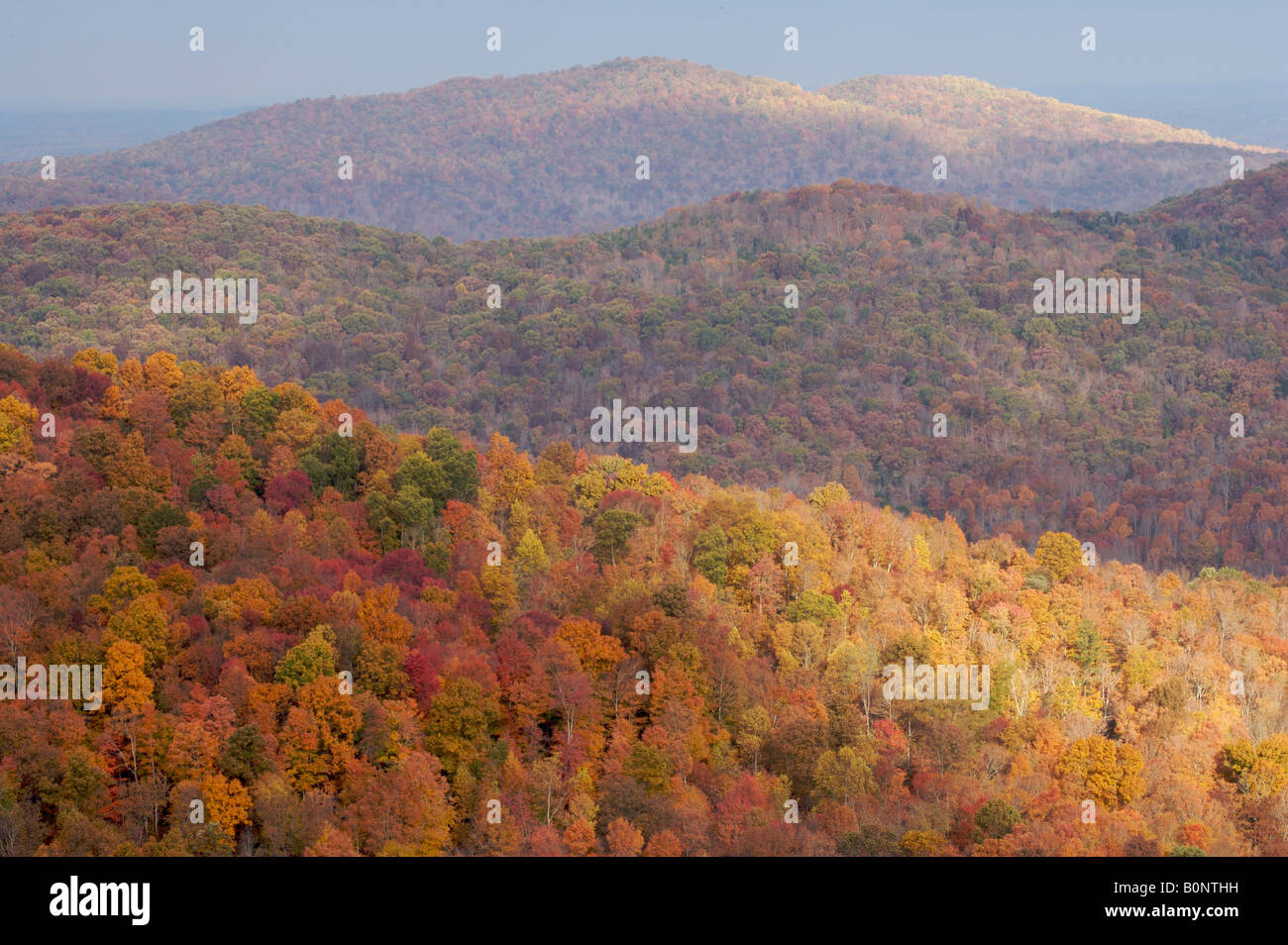 View of rolling mountains covered with fall foliage from Skinner ...