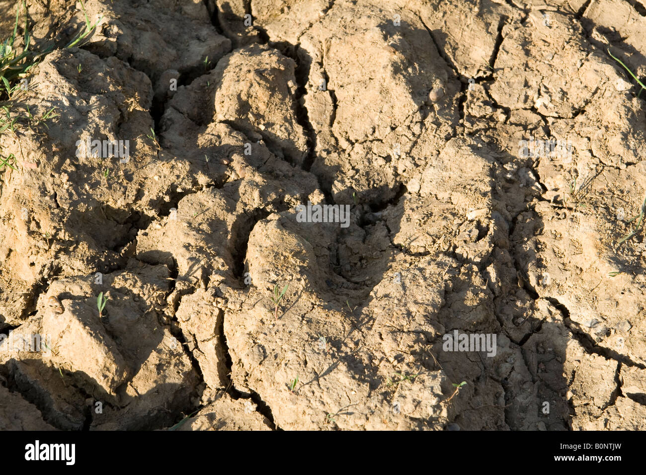 Churned earth hi-res stock photography and images - Alamy