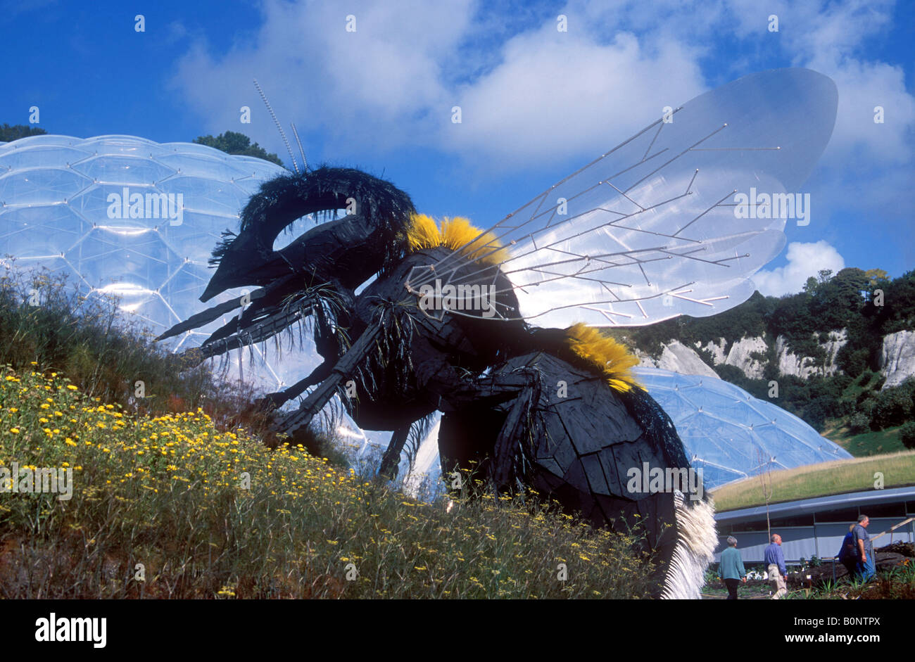Giant insect model at the Eden Project near St Austell Stock Photo - Alamy