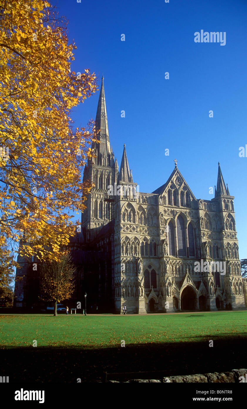 Autumn view of Salisbury Cathedral Stock Photo - Alamy