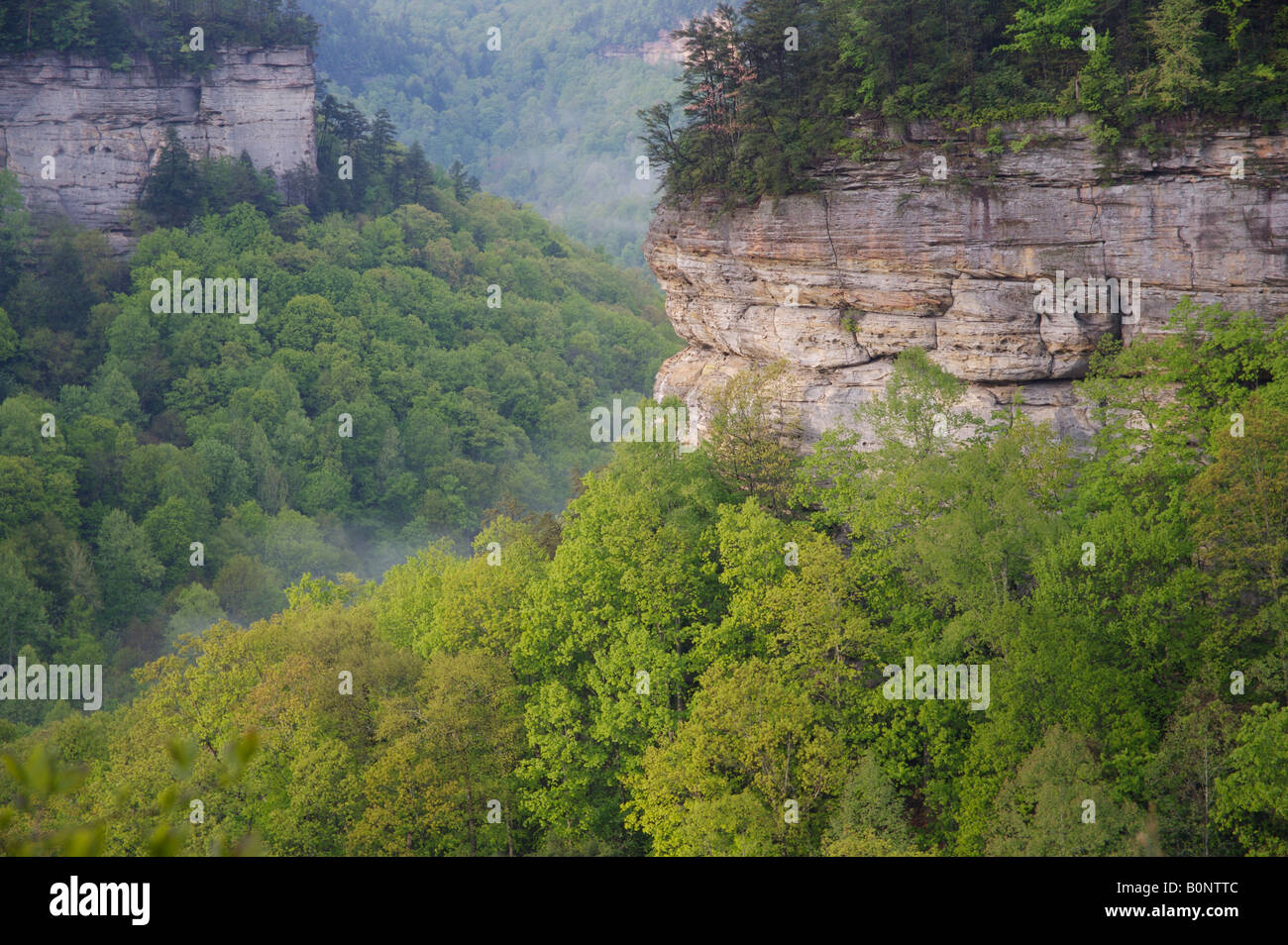 Tall Cliff faces and bluffs with mist coming up the valley after a rain ...