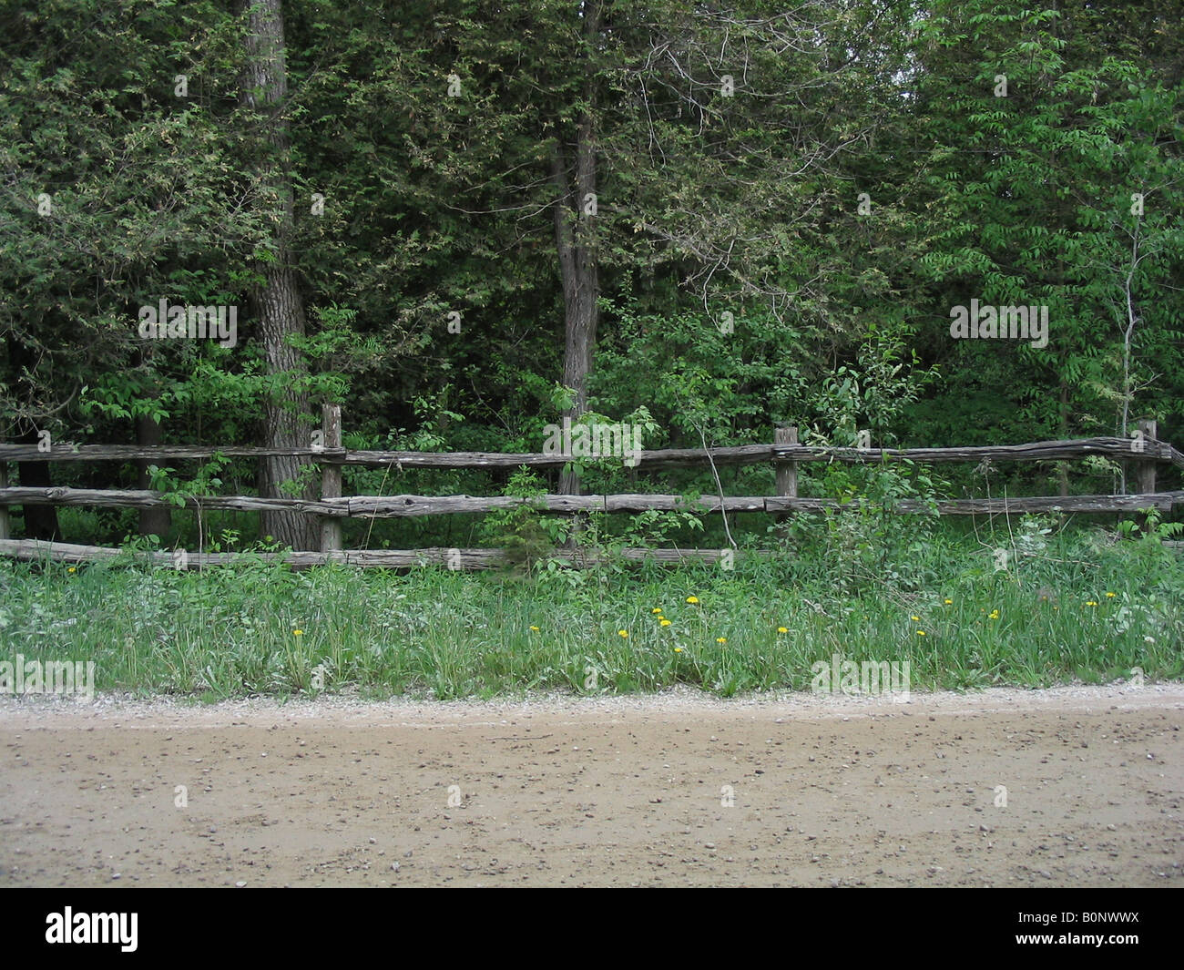 Old cedar rail farm fence with forest background Stock Photo - Alamy