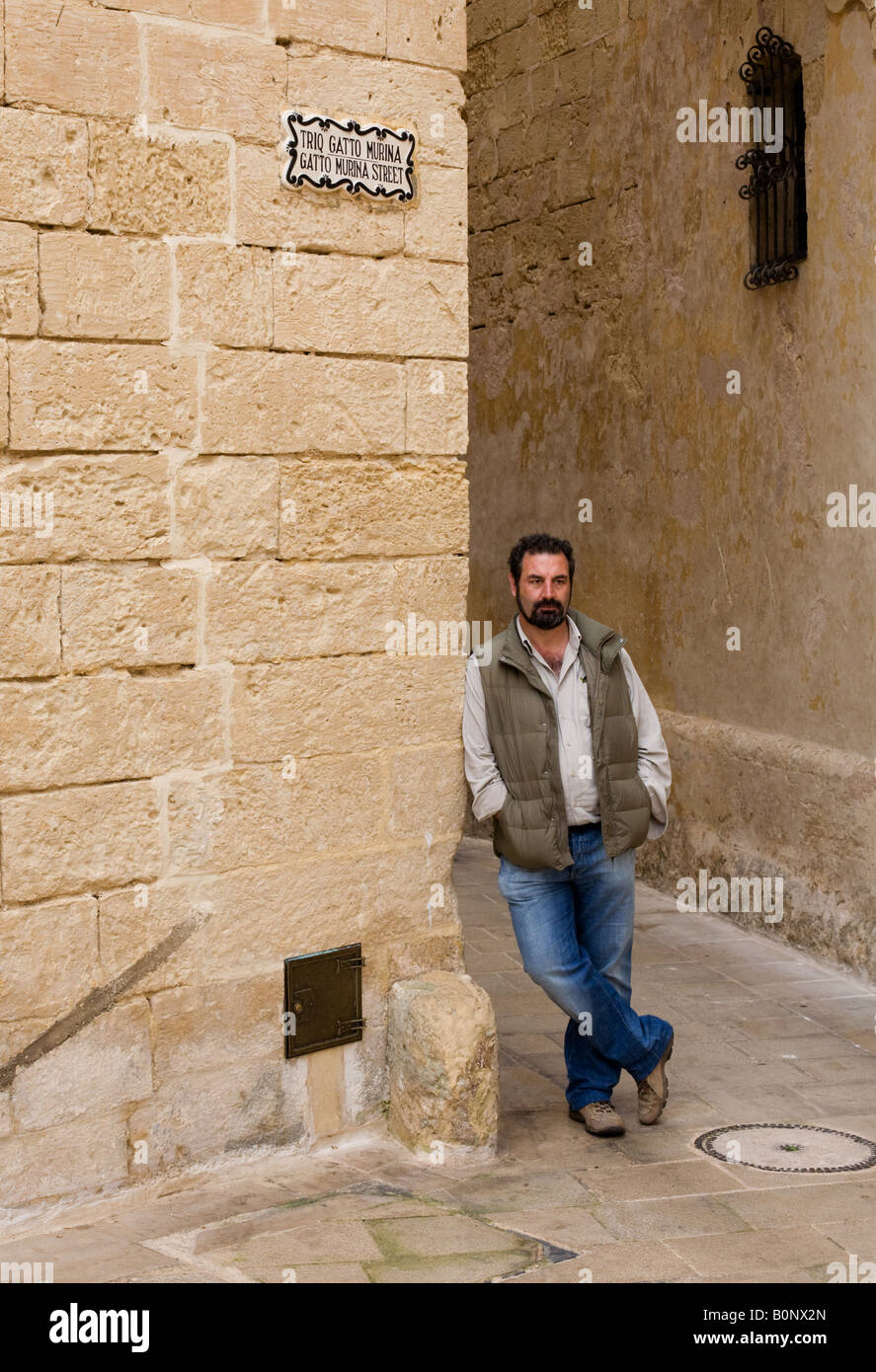 Male gatto hi-res stock photography and images - Alamy